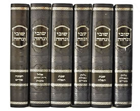 Rav Moshe Shapiro in Hebrew – ZYA Publications